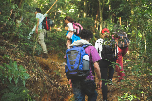 Georgia to Offer New Tourist Service- Wild Forest Tourism - Tourism - CBW