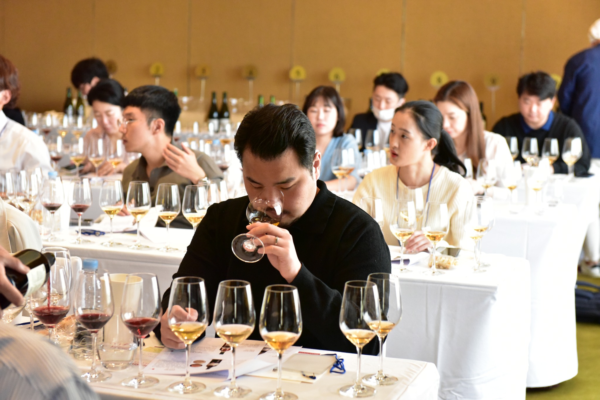 Large-Scale Event Dedicated to Georgian Wine was held in Seoul - Wine - CBW