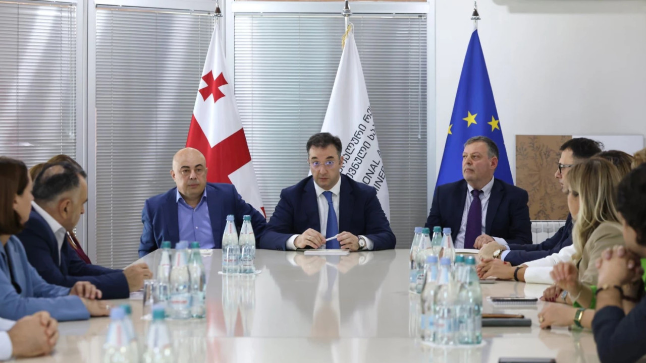 Minister David Songulashvili Meets with National Agency of Mineral ...