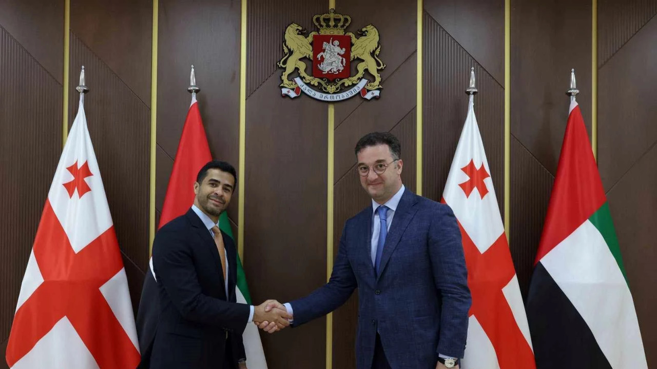 Georgia and UAE Discuss Enhanced Agricultural and Environmental ...