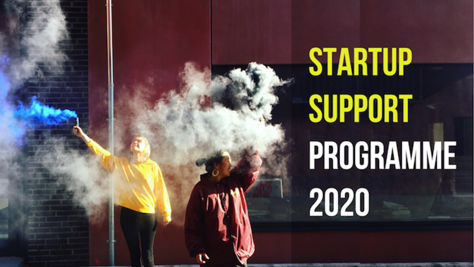 Startup Program of Creative Ideas from Organisations in Armenia ...