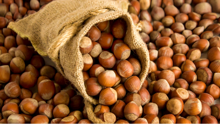 3,430 Tons of Hazelnuts to be Exported from Georgia According to Latest ...