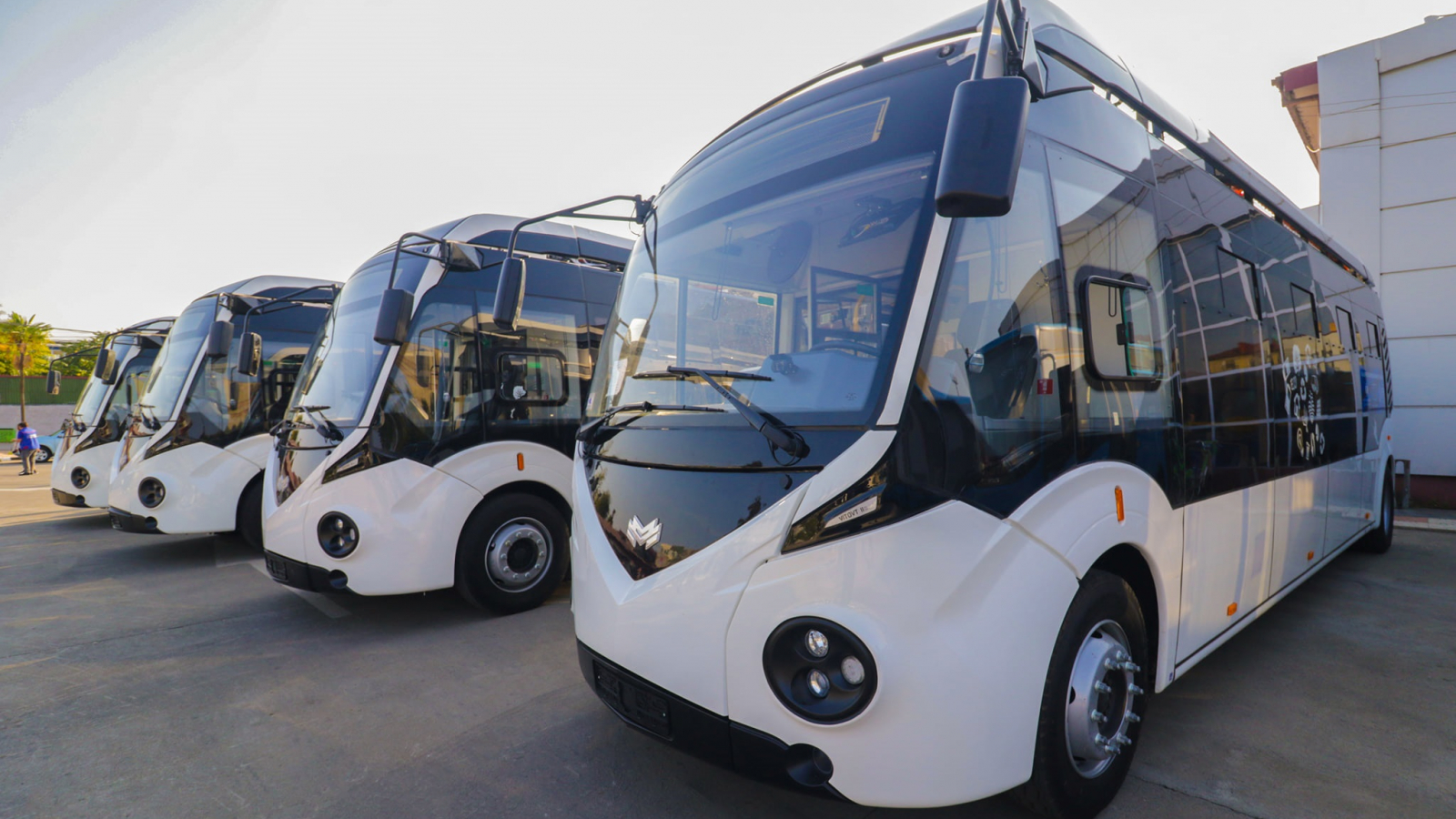 First Electric Buses to Run in Batumi Starting from Today - Economy - CBW