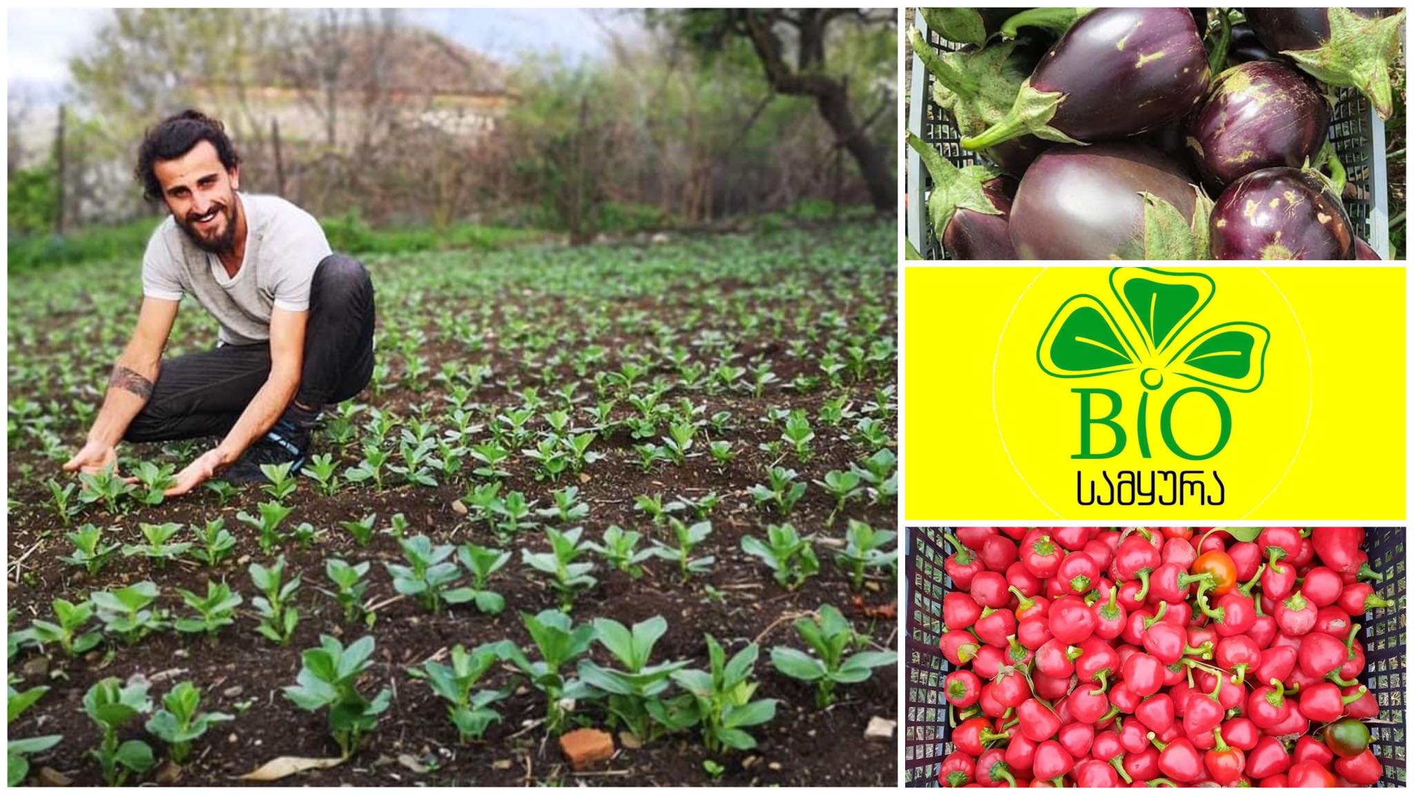 Samyura - Bio Farm of Organic Products from Tsnori - Business - CBW