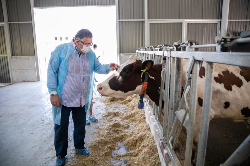 New Modern Cattle-Breeding Farm Opens in Dedoplistskaro - Economy - CBW