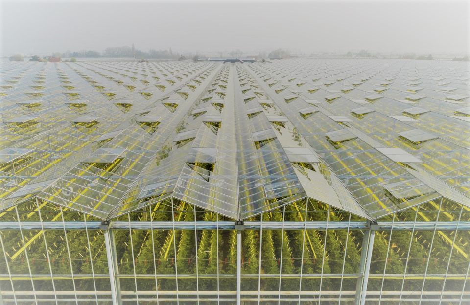 Investors from 10 Countries Interested in the Imereti Agrozone ...