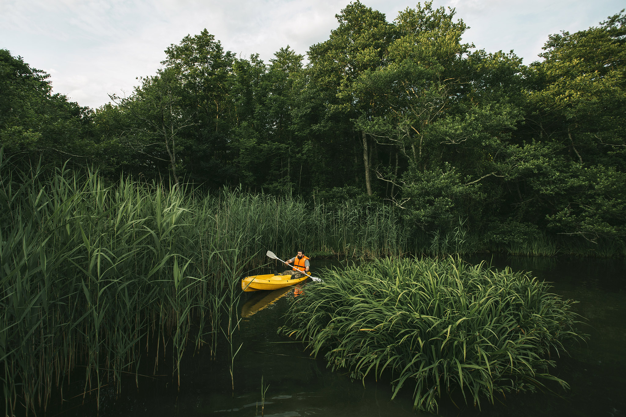 UNESCO's World Heritage Published an Article on Georgia's Colchis ...